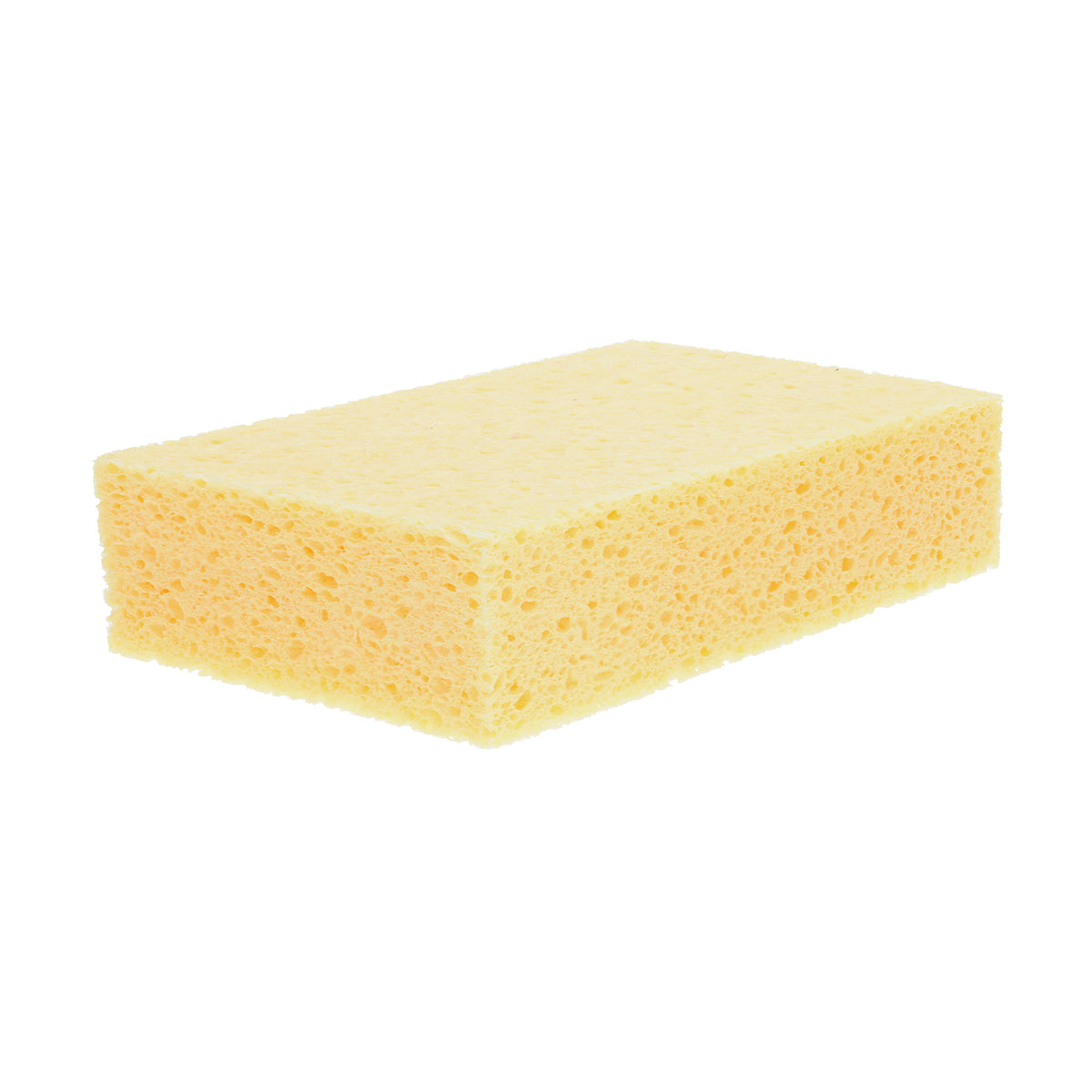 Sorbo Large Viscose Sponge – Dayes